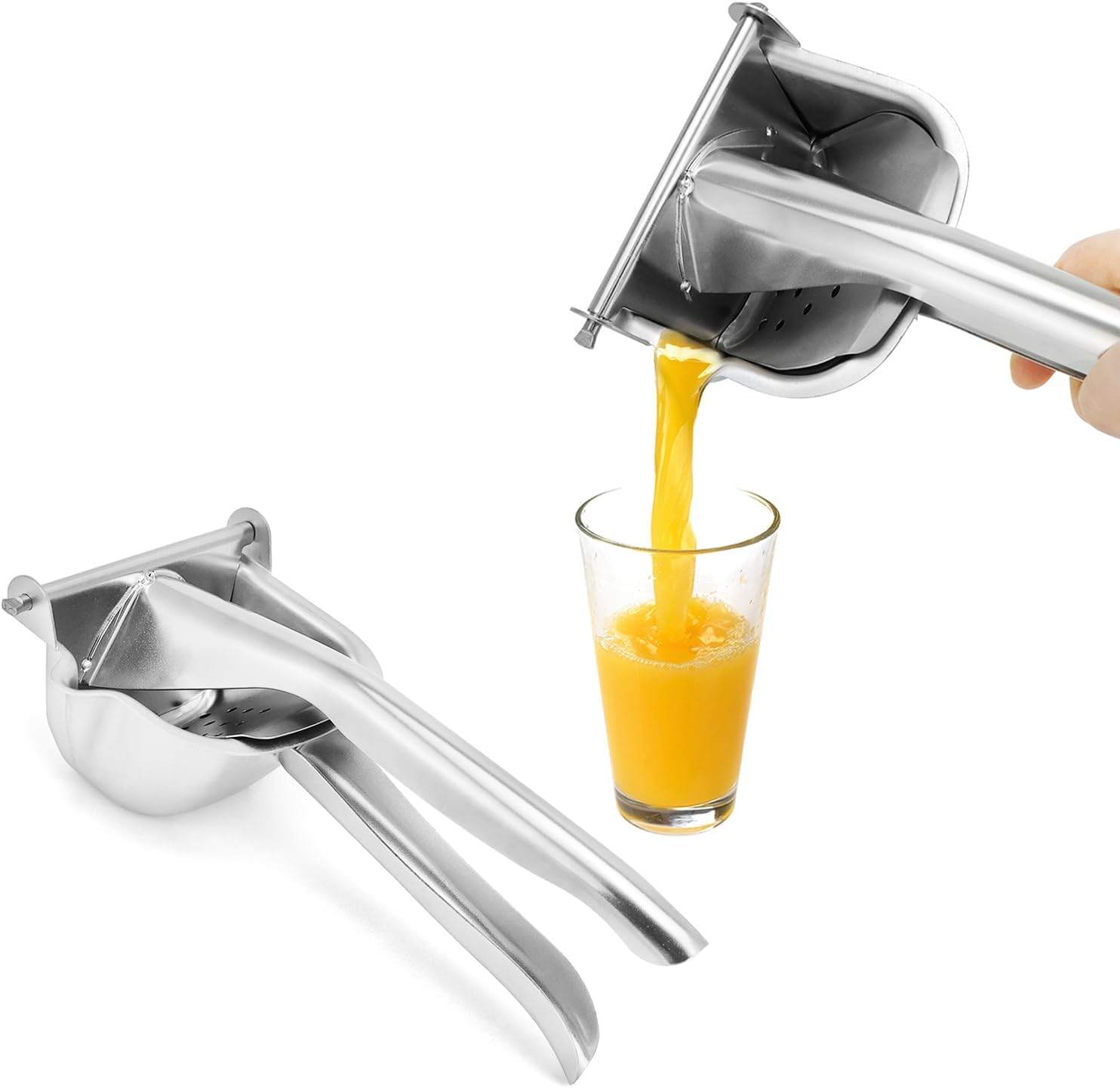 Amazon.com: QWORK 304 Stainless Steel Citrus Juicer - Sleek Manual ...