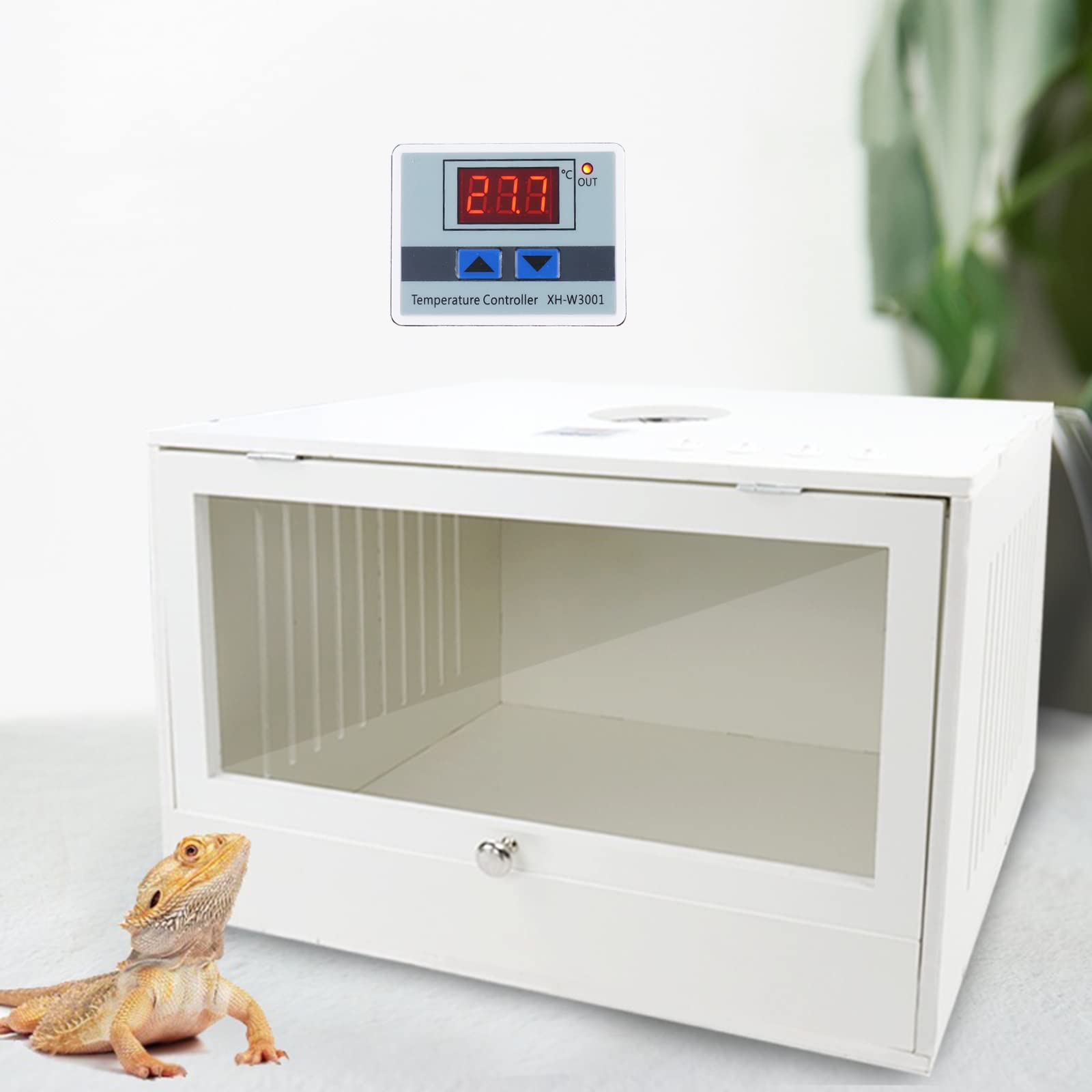 Buy YBaoTuu Reptile Incubator, 60×40×40 cm Climbing Pet Terrarium ...