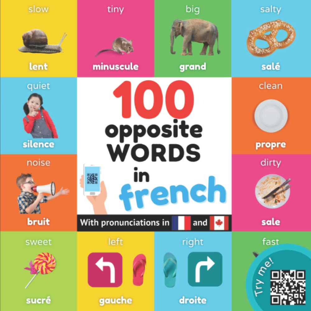 100 opposite words in french: Bilingual picture book for kids: english ...