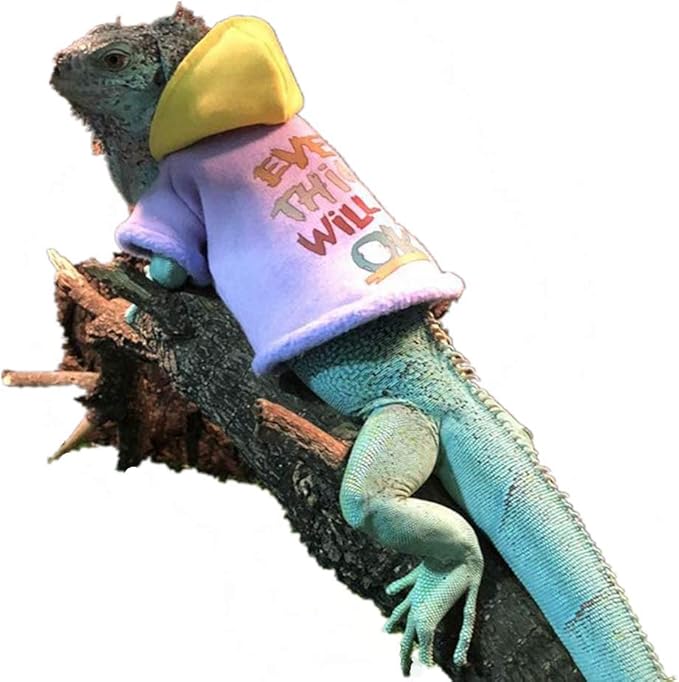 Amazon.com: Lizard Clothes for Bearded Dragons Reptile Apparel Handmade ...