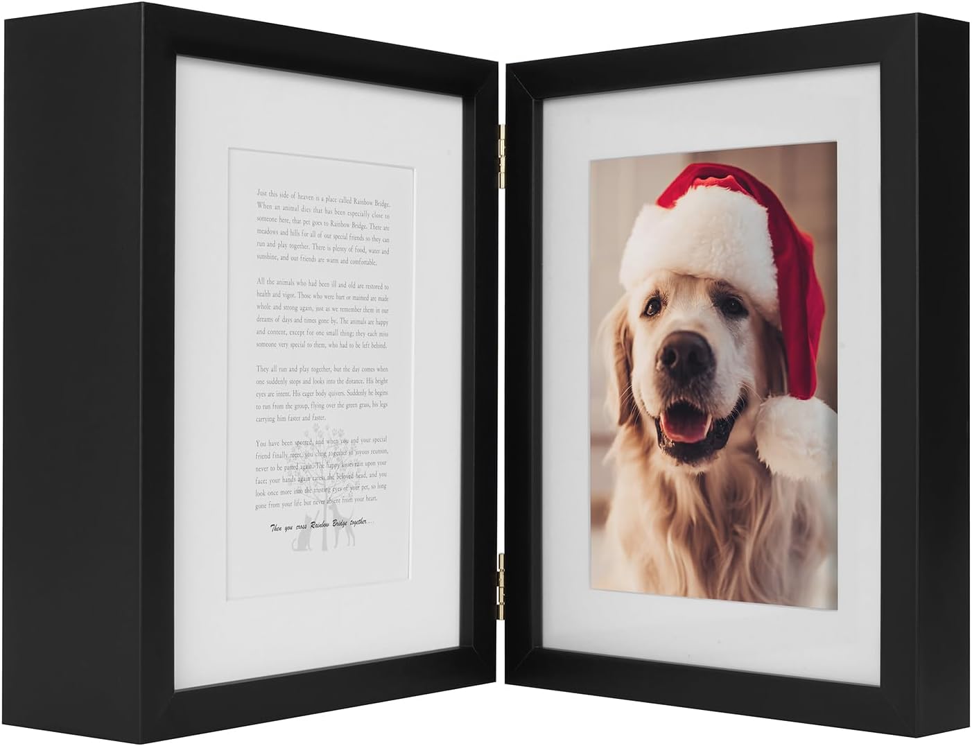 Amazon.com : Pet Urns for Dog and Cat Ashes Keepsake -Pet Memorial Urn ...