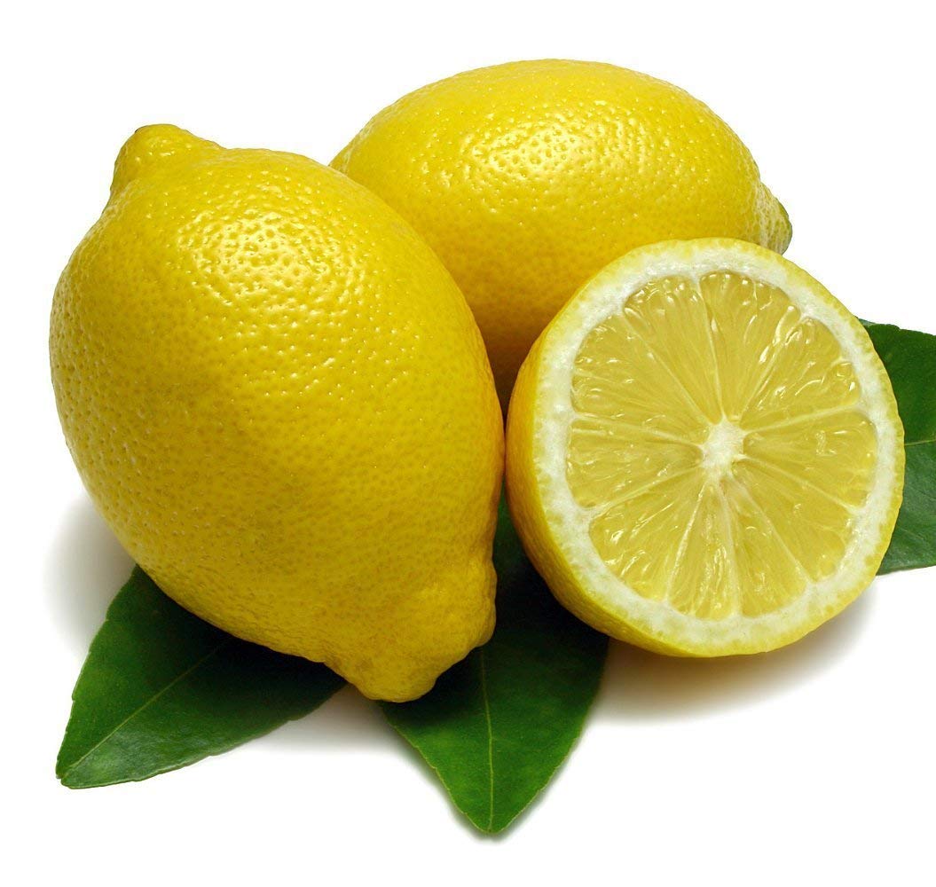 Creative Farmer Live Exotic Fruit Plant Wild Lemon Indian For Home ...