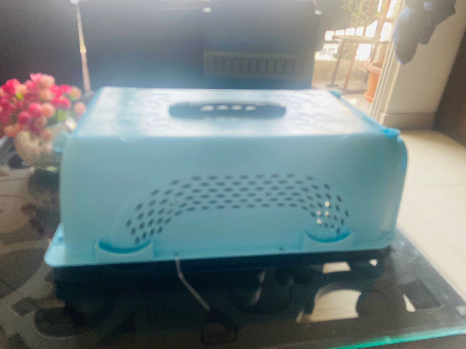 Dog Trust Pet Travel Carrier Dog Cat Rabbit Basket Plastic Handle ...