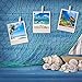 Amazon.com: Fish Net Decorative Party Supplies 59 x 78.7 Inch Nautical ...