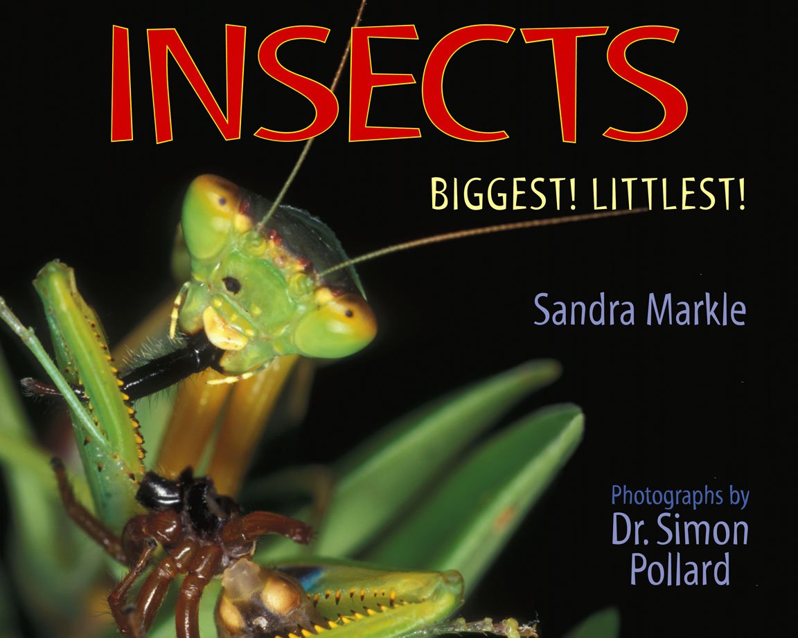 Amazon | Insects: Biggest! Littlest! | Markle, Sandra, Pollard, Dr ...