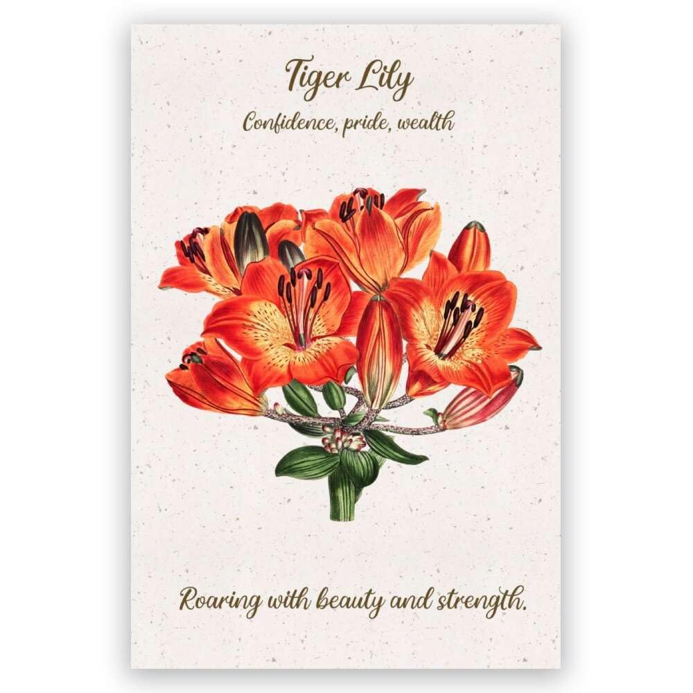 Amazon.com: MLabyrinth Tiger Lily Flower Poster Floral Decor Vintage ...