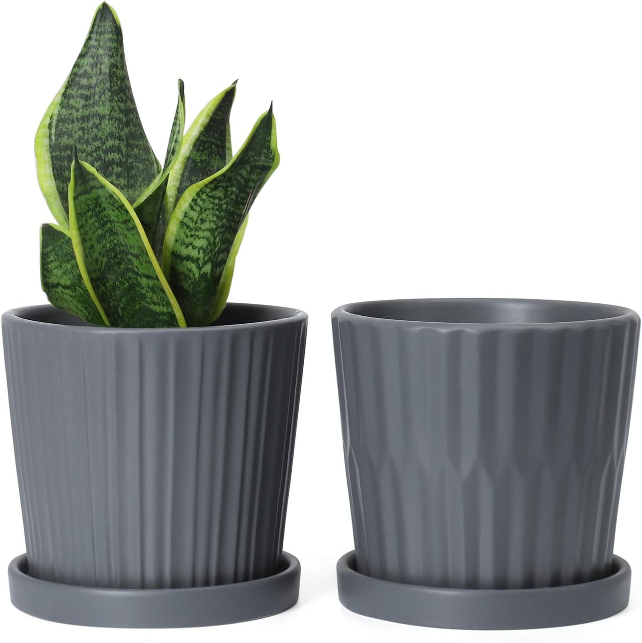 Amazon.com : Greenaholics Medium Plant Pots - 6 Inch Grey Cylinder ...