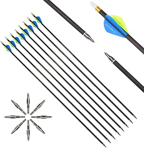 Amazon.com : ACCMOS 6pc 20-Inch Spine-300 Arrow Removable Tips ...