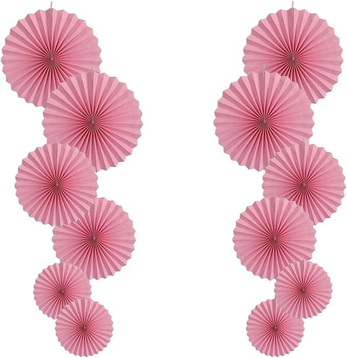 Amazon.com: HQZ Pink Party Hanging Paper Fans DIY Set,12pcs Set Paper ...