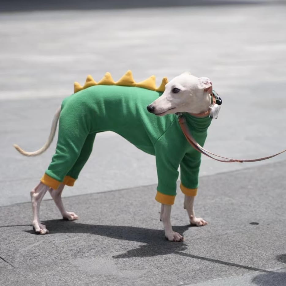 Italian Greyhound Costume Costumes Fashion Houndz Italian Greyhound