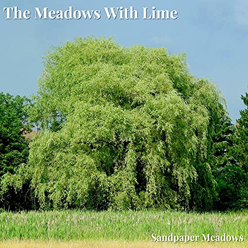 The Meadows With Lime de The Sandpaper Meadows en Amazon Music Unlimited