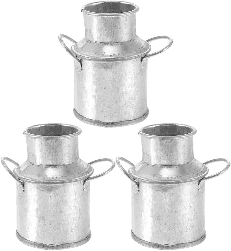 Amazon.com : FOMIYES 3pcs Mini Metal Buckets Milk Can Vase Galvanized ...