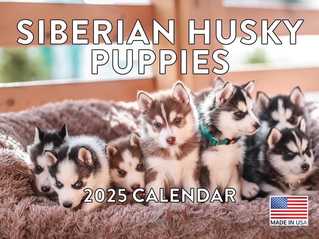 Snapklik.com : Siberian Husky Puppy Calendar 2027 Monthly Wall Calender ...
