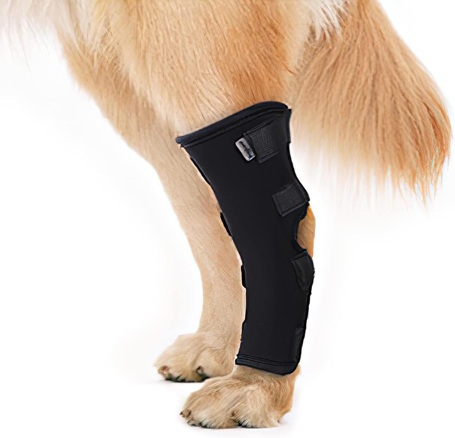 CROCHEN Rear Leg Brace for Small Dogs and Cats After Surgery Wear Hip ...
