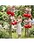Amazon.com: Cherry Party Decorations, 4-Pack foil balloons with bow ...