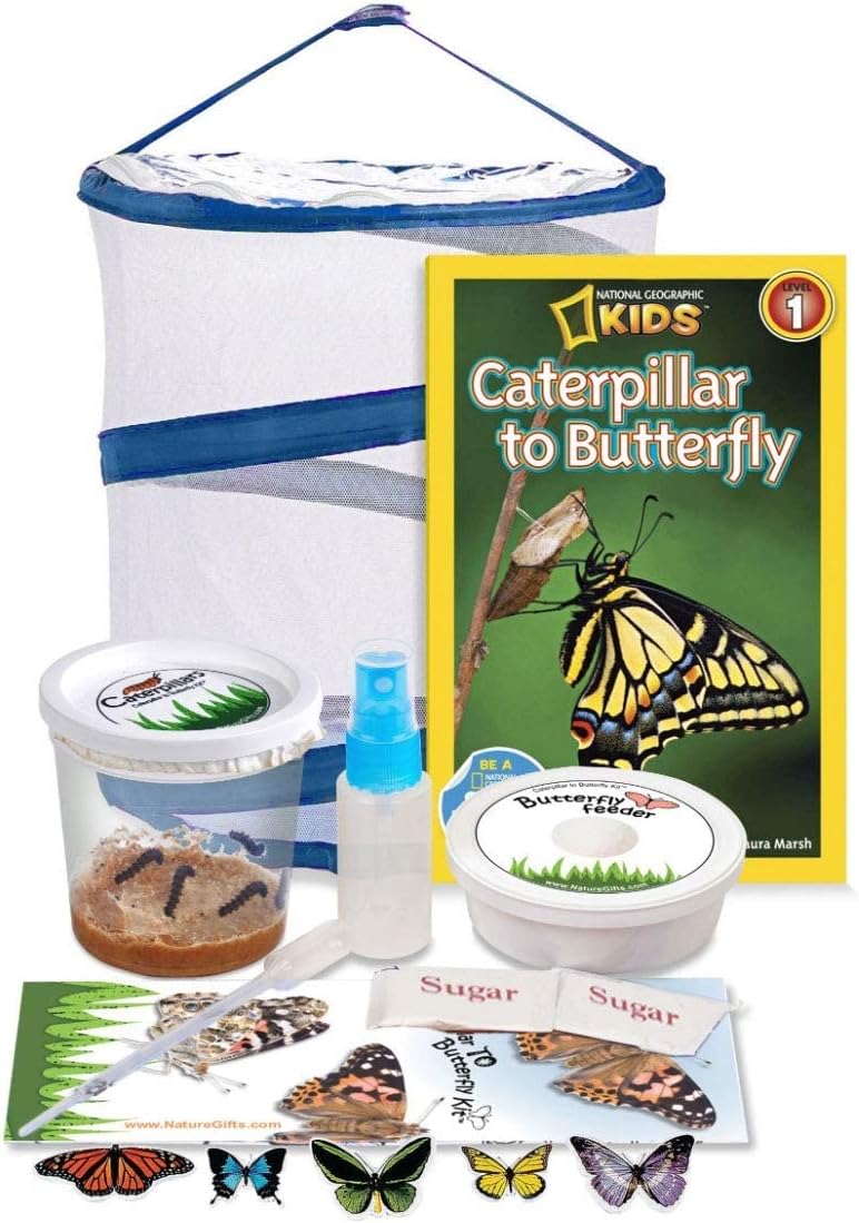 Amazon.com: Nature Gift Live Butterfly Growing Kit: Other Kits Ship ...