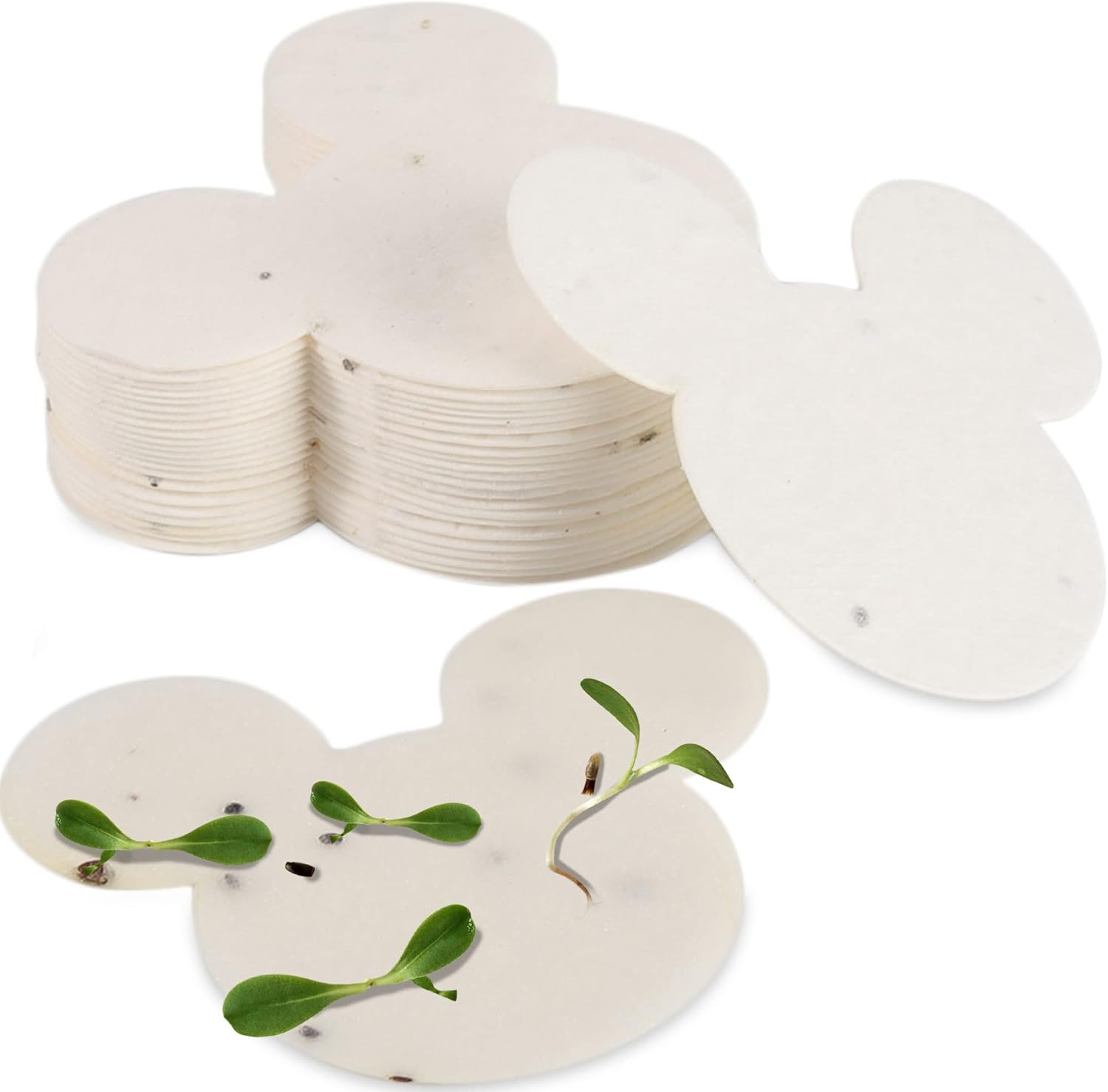 Amazon.com: Plantable Wildflower Seed Paper Seed Bloom Handmade Bloom ...