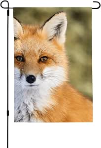 Amazon.com : Nature Forest Fox Animal Garden Flag Large Double Sided ...