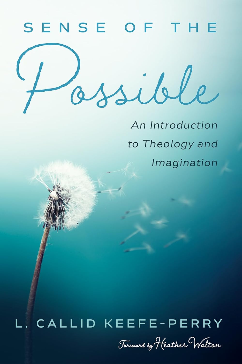 Sense of the Possible: An Introduction to Theology and Imagination ...