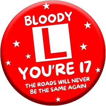 17th Birthday Gift 75mm Learner Driver Badge For Girls & Boys : Amazon ...