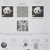 Deep Learning mit Python und Keras: Das Praxis-Handbuch vom Entwickler ...