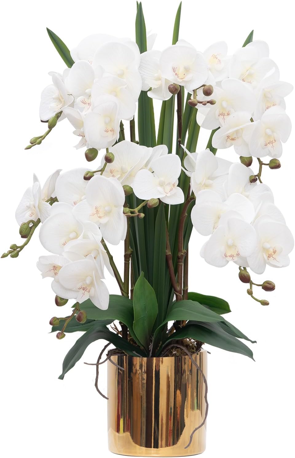 Amazon.com: CXGS Artificial Orchid Flower Plants Real Touch Faux ...