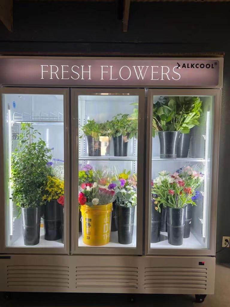 Amazon.com: NAFCOOL Commercial Refrigerator Floral Beverage Display ...