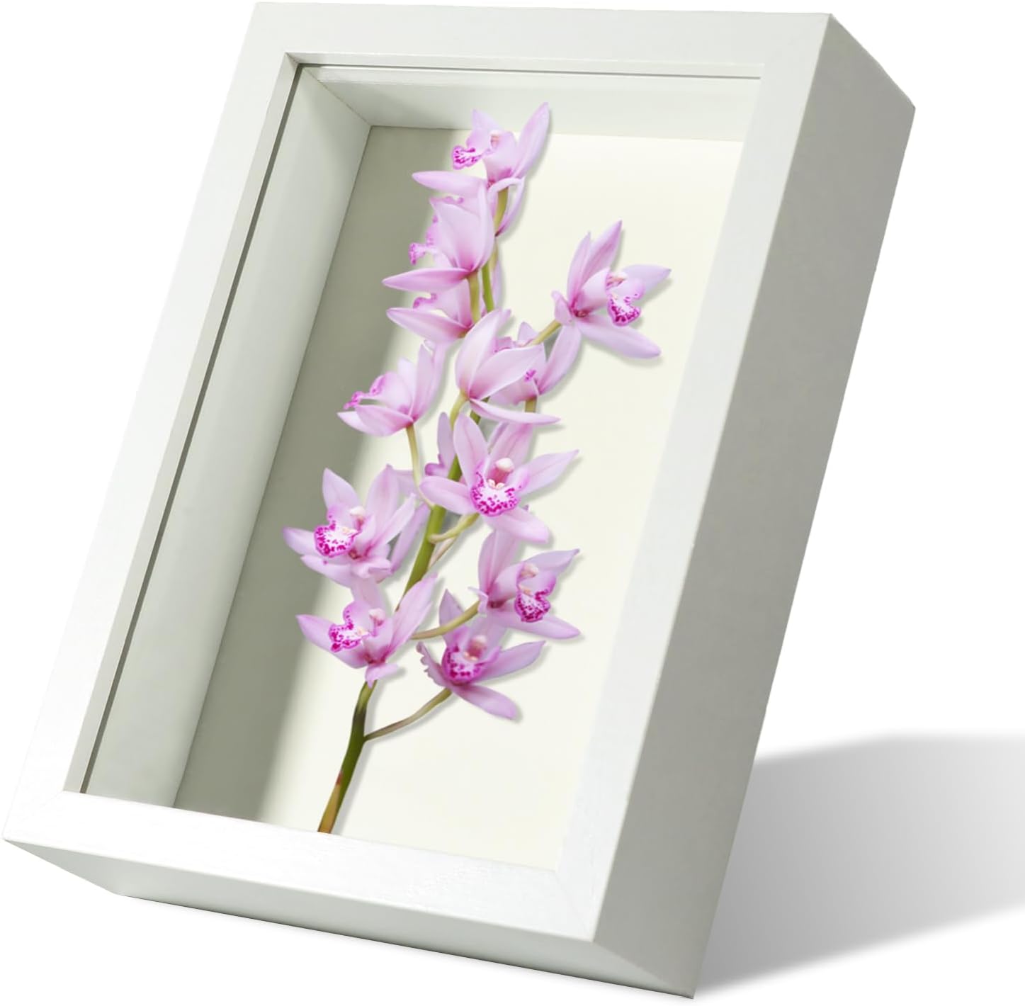 Amazon.com - 4x6 Small Shadow Box Frame Display Case with Real Glass ...