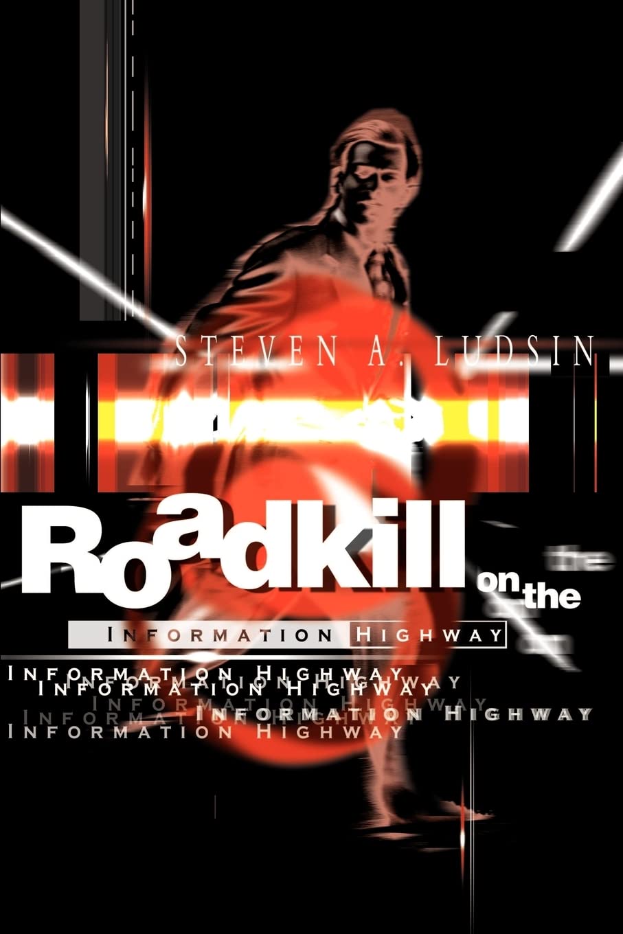 Roadkill on the Information Highway: Ludsin, Steven: 9780595145713 ...