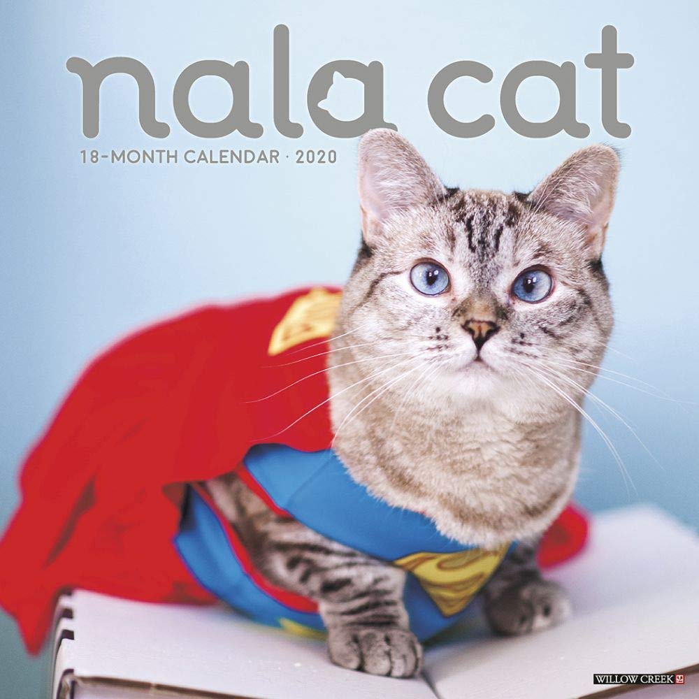 Nala Cat 2020 Calendar: Amazon.co.uk: Willow Creek Press: 9781549207228 ...