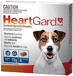 HEARTGARD PLUS BLUE 6 (0-11KG) : Amazon.com.au: Pet Supplies
