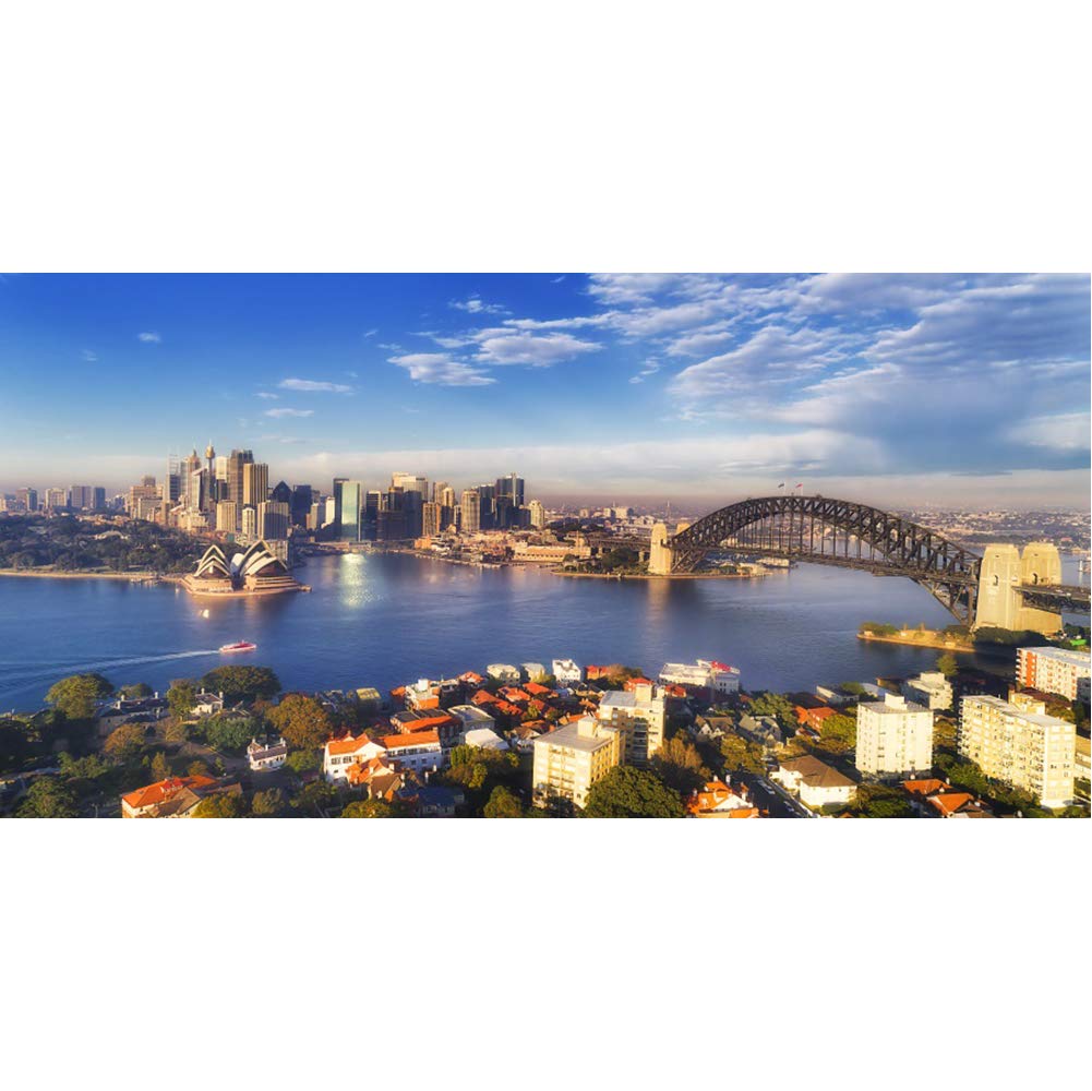 Buy OFILA 10x5ft Sydney Photography Backdrop Sydney Harbour Bridge ...