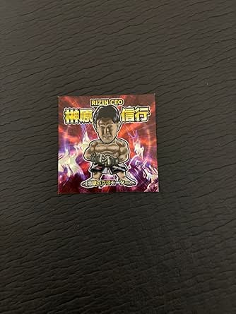 Amazon.co.jp: RIZIN CEO Nobuyuki Sakakibara Sticker : Home & Kitchen
