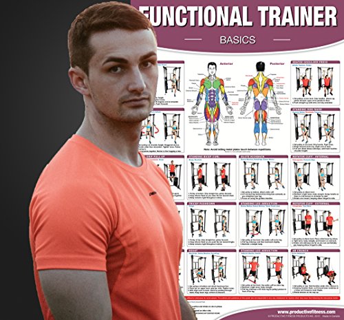 Functional Institutional/Home Gym Poster/Chart- Basics - Functional ...