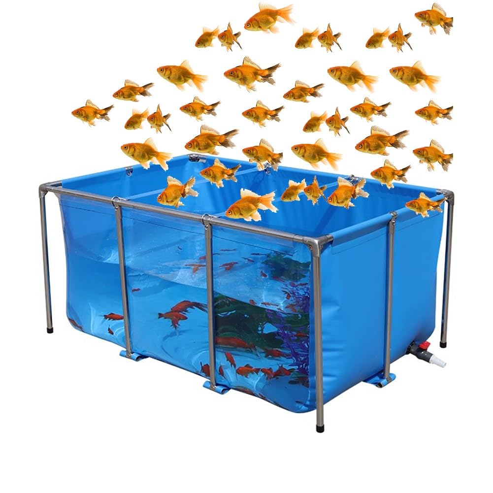 Amazon.com: Pool Above Ground, Transparent Aquarium Pool Pond with ...