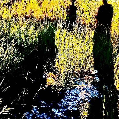 Écouter Early Out par Cheese Rocket sur Amazon Music Unlimited