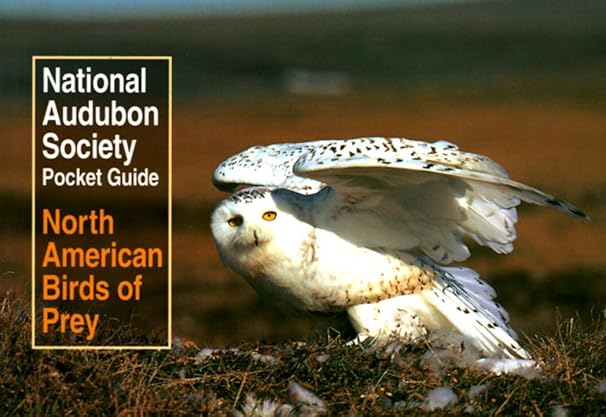 National Audubon Society Pocket Guide to North American Birds of Prey ...