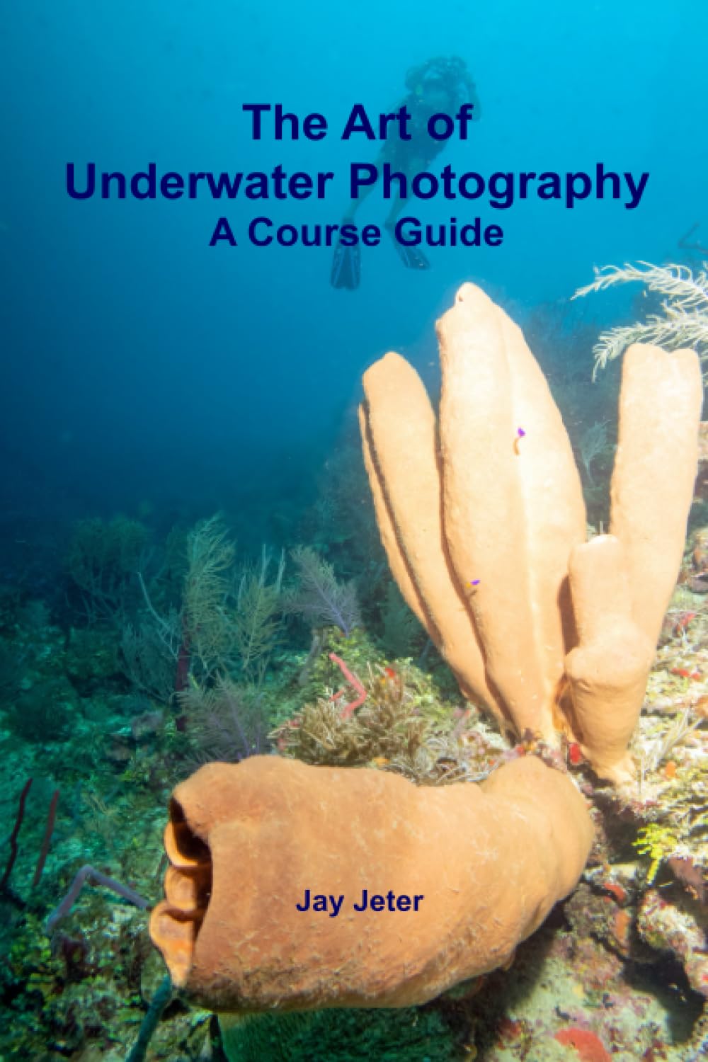 Amazon.com: The Art of Underwater Photography: A Course Guide ...
