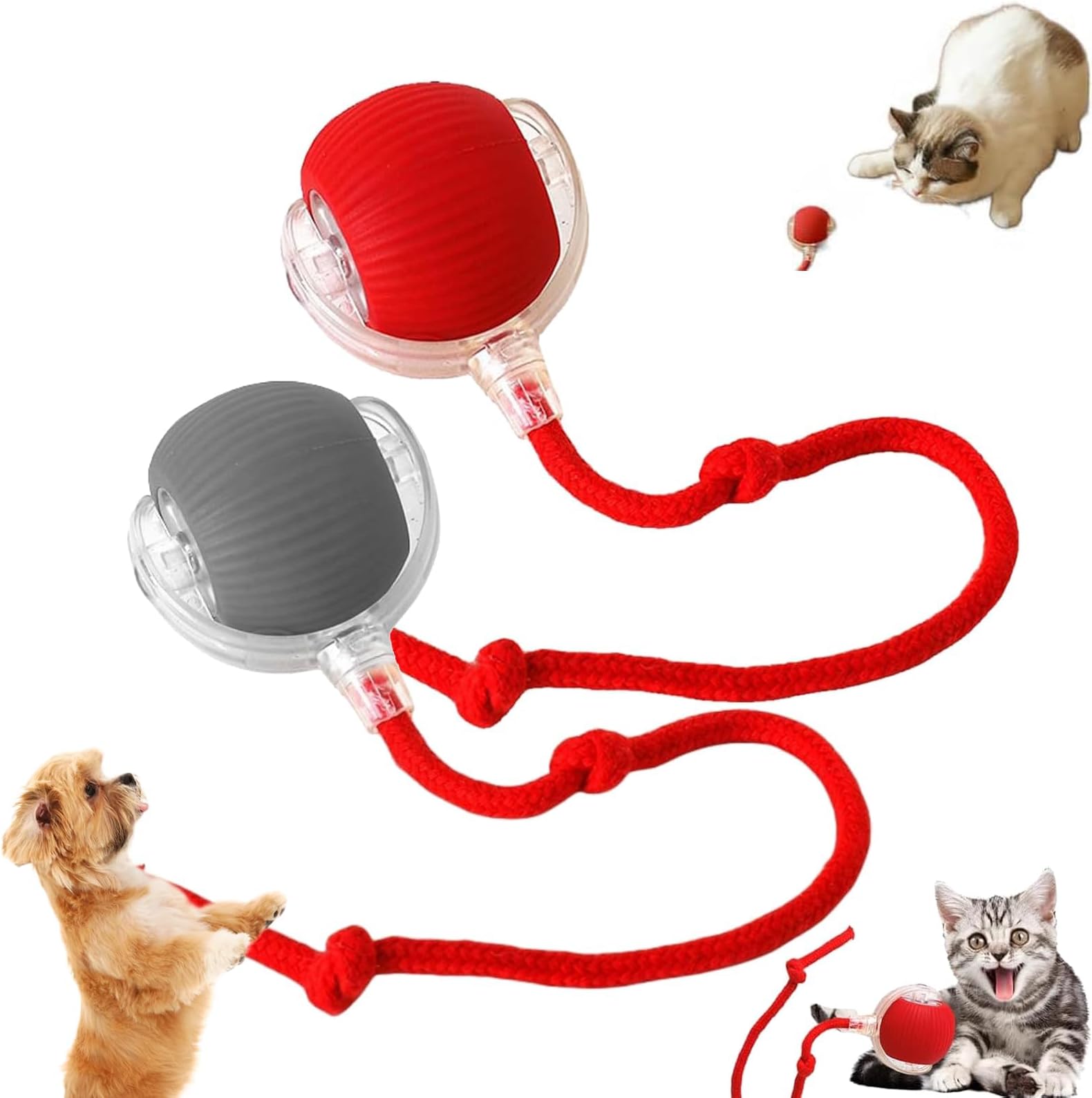 Amazon.com: Speedy Tail 2.0, Speedy Tail Cat Toy, Teazys Cat Toy ...
