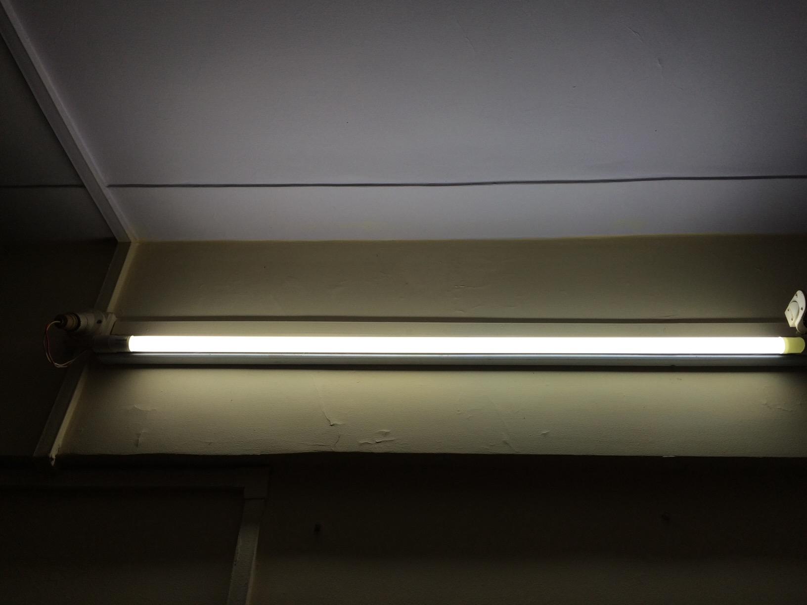 Philips Essential LED Tube Light (White) : Amazon.in: Home & Kitchen