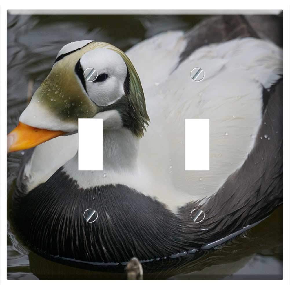 Male Magpie Ducks