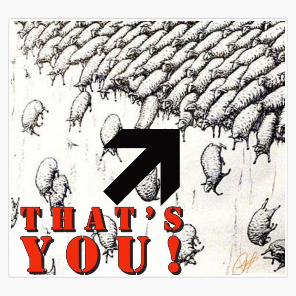 Amazon.com - Dont Be Sheep Sticker Vinyl Decal Bumper Sticker 5"