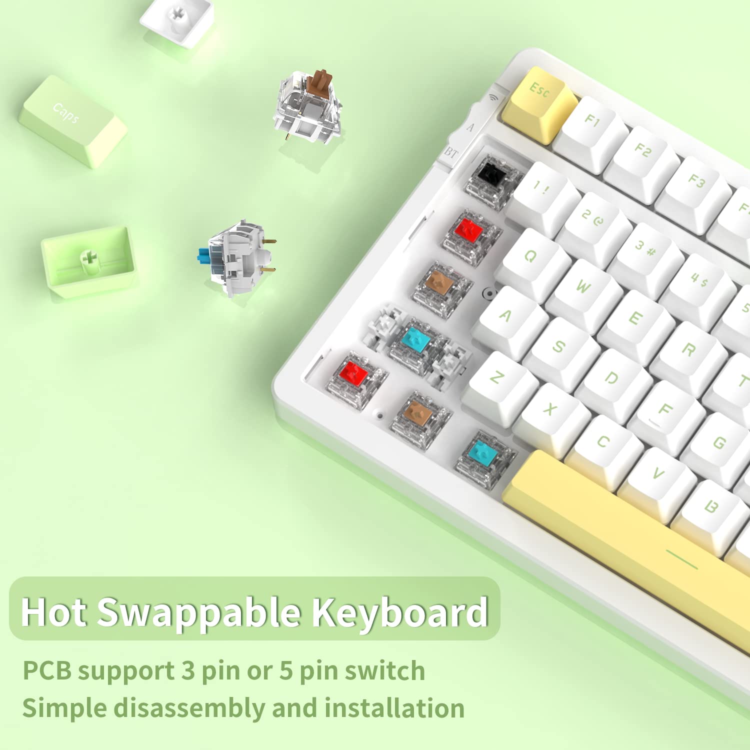 Snapklik.com : NACODEX AK992 99 Key Hot Swappable RGB Custom Gaming ...