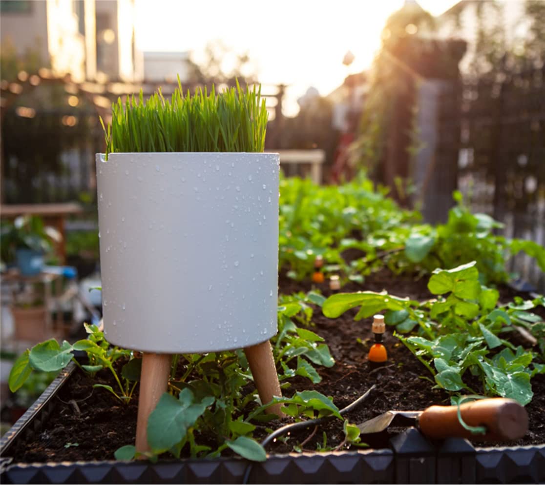 Abizoe Smart Flower Pots, Self Watering Plant Pot with Watering ...