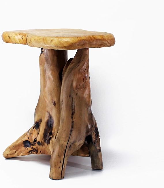 Amazon.com: WELLAND Cedar Root Wood Log Side Table, End Table, Rustic ...
