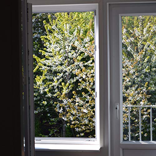 Play George by James Vincent on Amazon Music