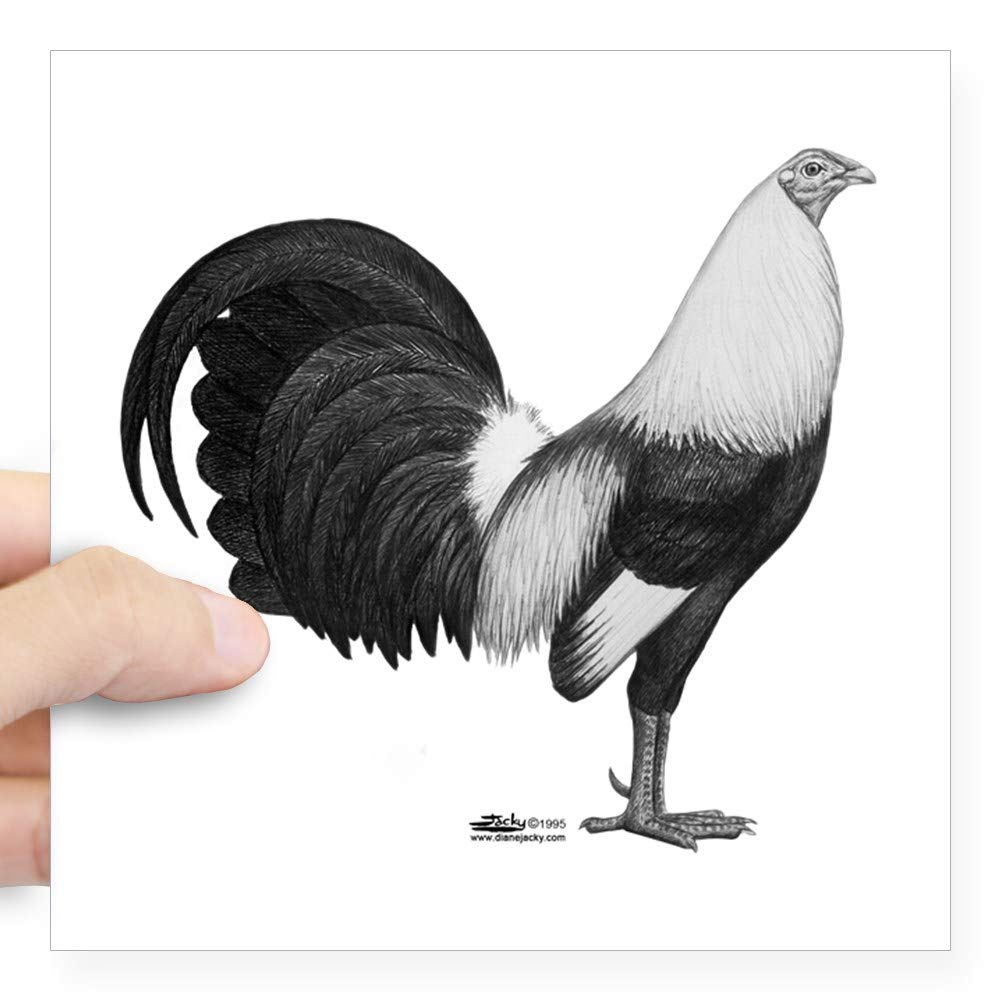 Grey Rooster