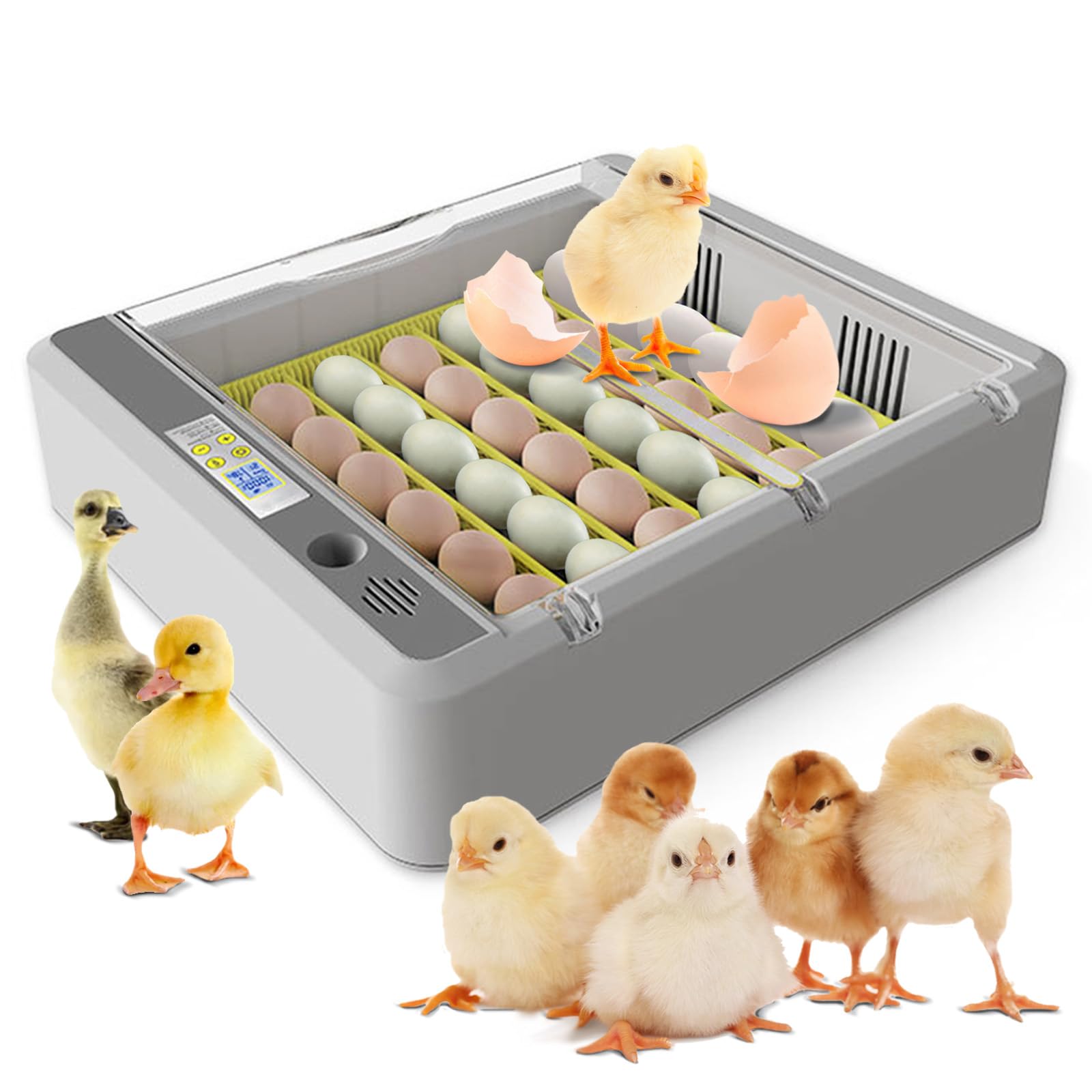 Amazon.com: Egg Incubator for Hatching Chicks 36-54 Automatic Egg ...