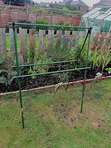 GardenSkill Garden Pea Frame Kit - Complete Support Trellis with ...