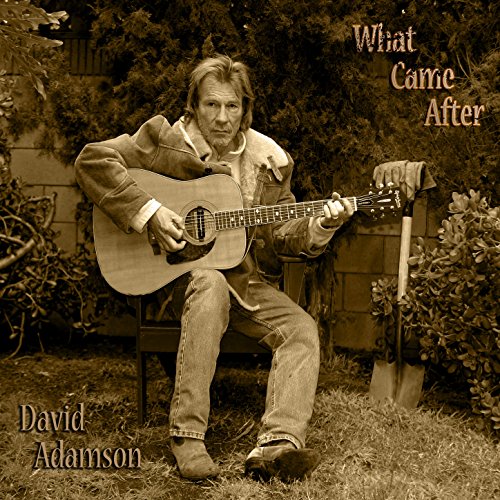 Amazon.com: What Came After : David Adamson - all instruments and ...